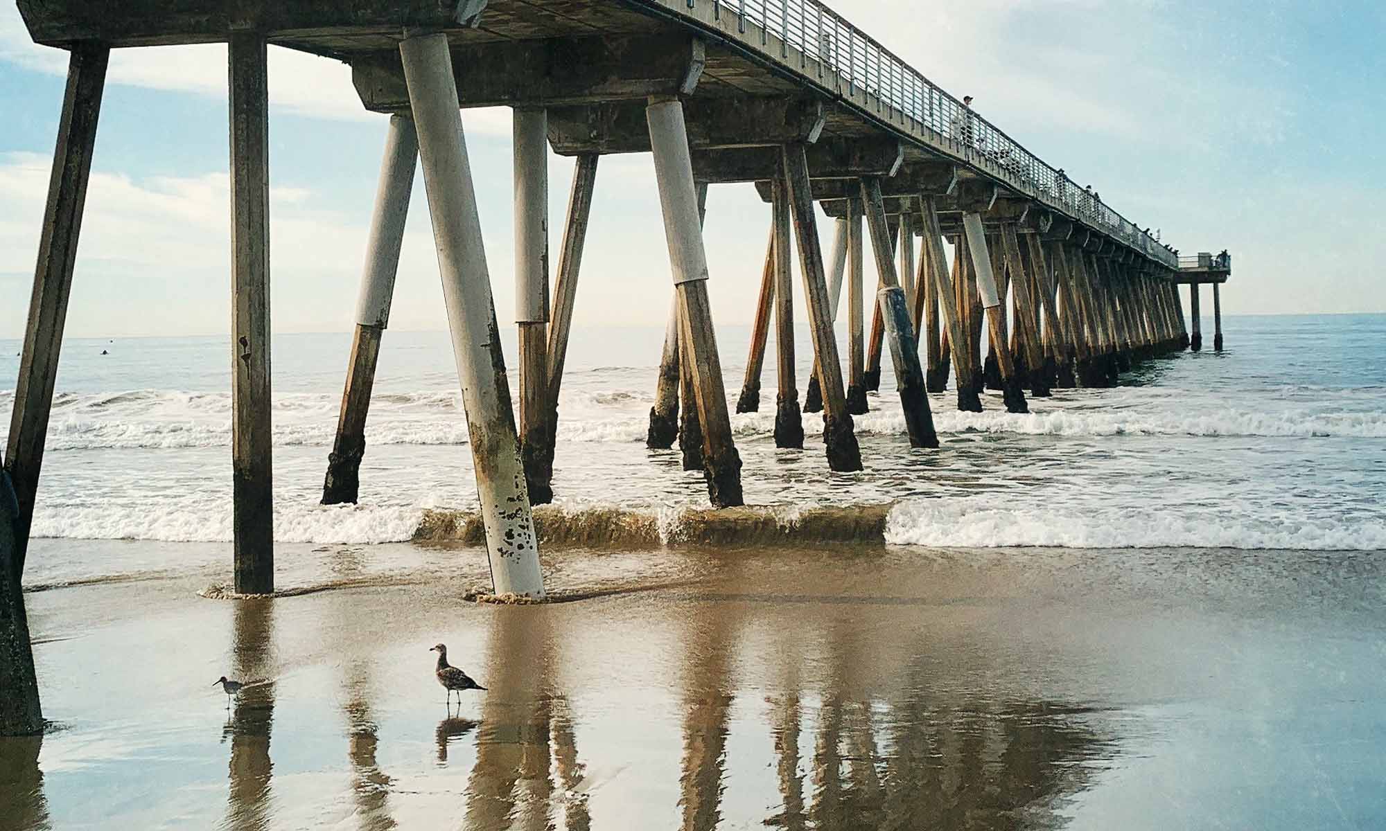 21 Best Local Coffee Shops in Redondo Beach, CA - Coffee Culture